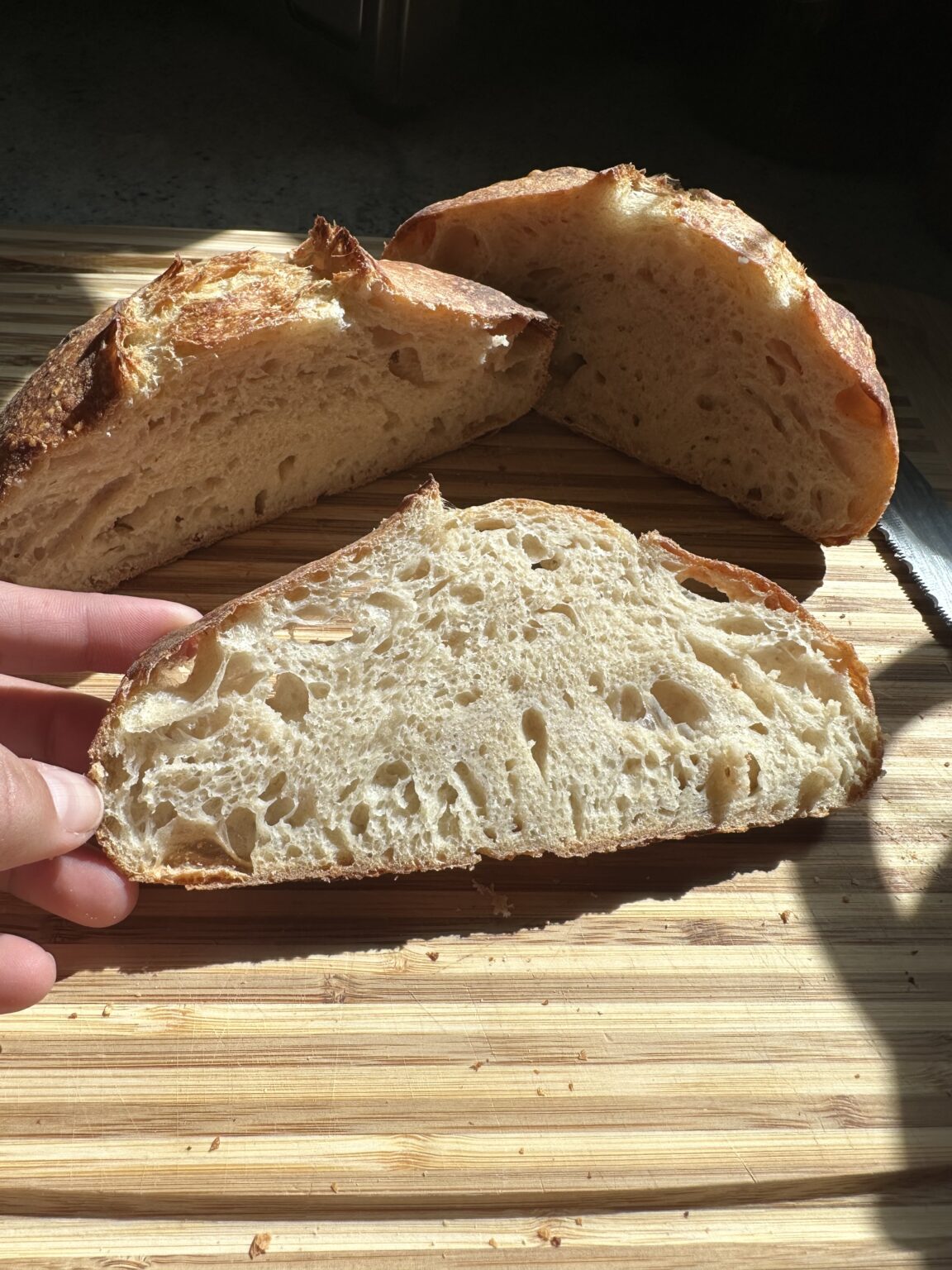 Sourdough Mini Loaf- Recipe - Crafty Gemini